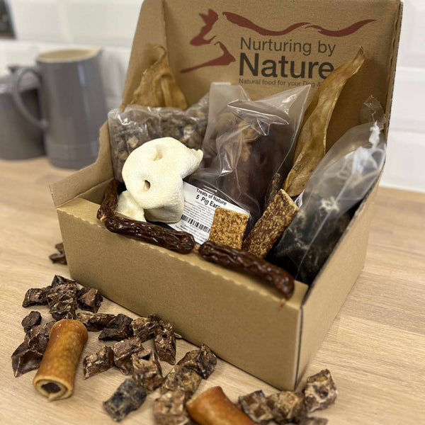 Dog Treat Variety Box – Nurturing by Nature Subscriptions